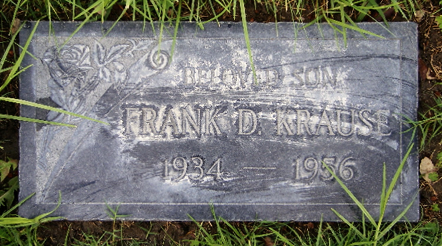 Emilia Sophia Larson